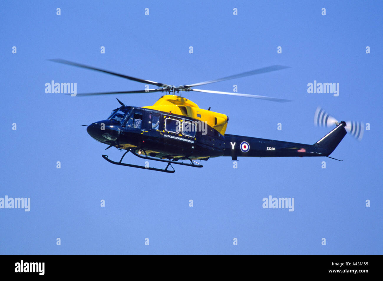 Griffin ht 1 hi-res stock photography and images - Alamy