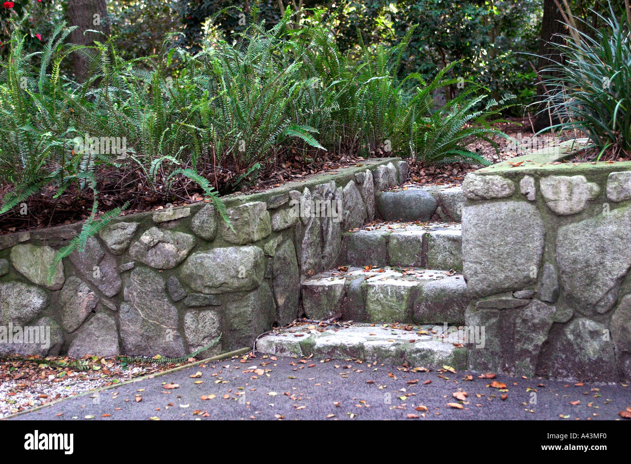 Stone Steps Along A Garden Walkway Stock Photo - Alamy
