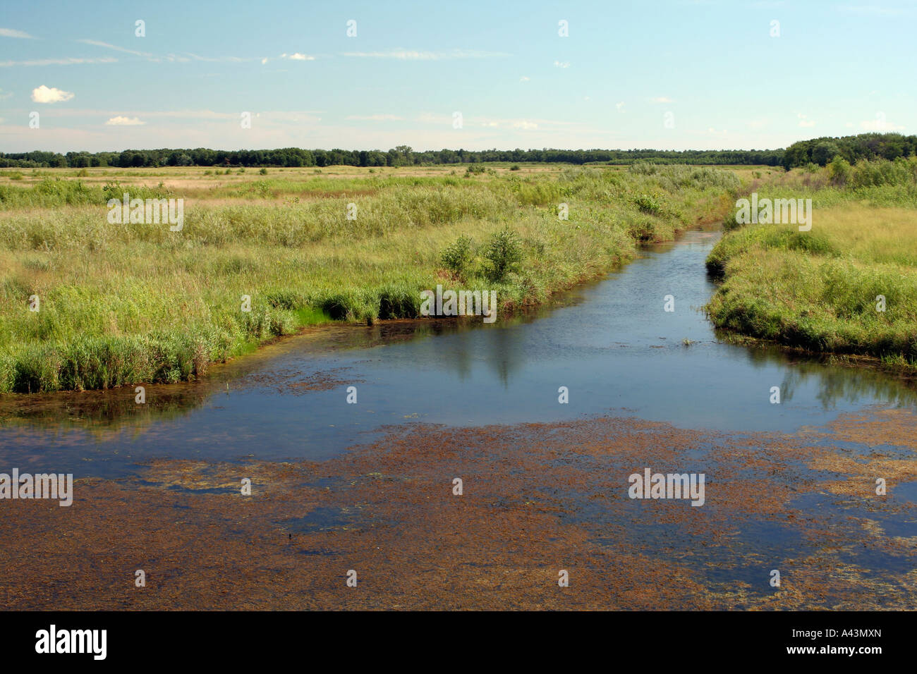 Aldo Leopold Wetland WMA, Readlyn Iowa Stock Photo - Alamy