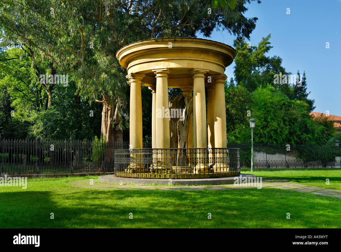 OLD TREE OF GERNIKA MEETING HOUSE GERNIKA SPAIN Stock Photo - Alamy