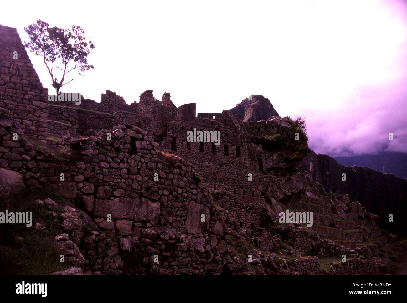 Reconstructed Incan ruins of Machu Picchu Sacred Valley Peru Stock ...