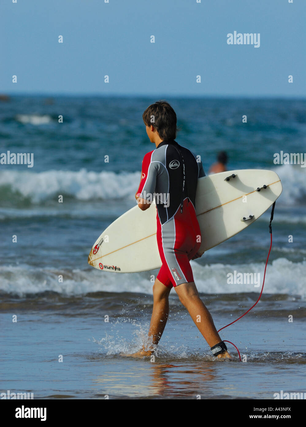 WINDSURFER ON THE BEACH Stock Photo - Alamy