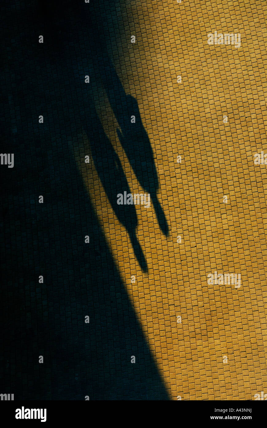 PEDESTRIAN ANONYMOUS WALKING SILHOUETTES SHADOW Stock Photo - Alamy