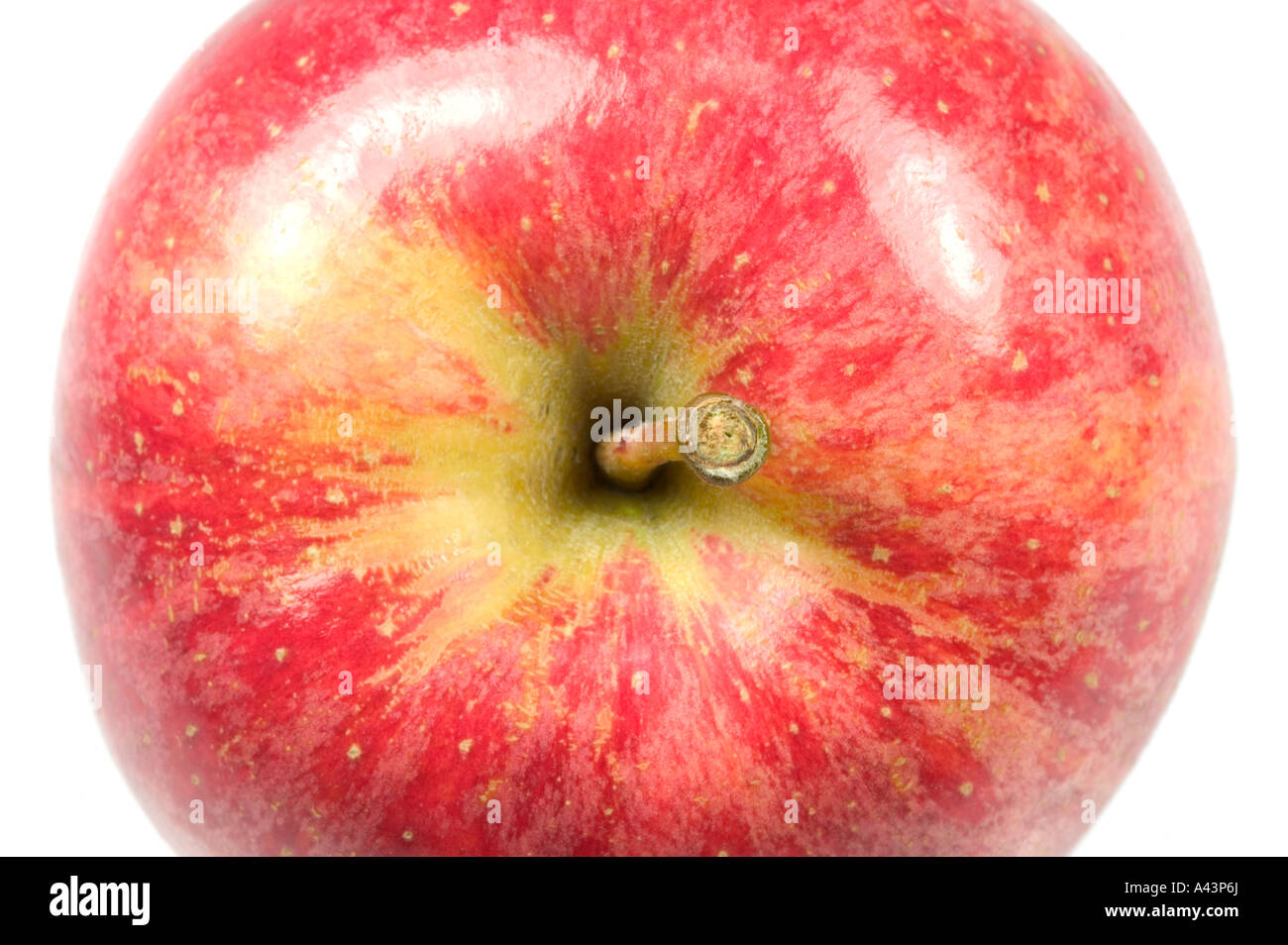 Red apple macro viewed from the top isolated on white Part of a set ...
