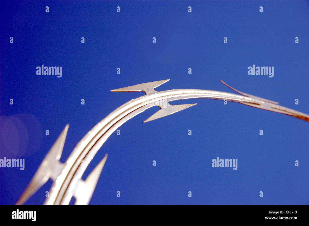 Razor wire, new and very sharp and dangerous to adults and kids going ...