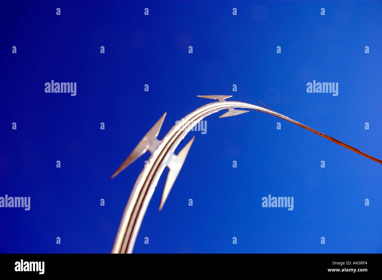 Razor wire, new and very sharp and dangerous to adults and kids going ...