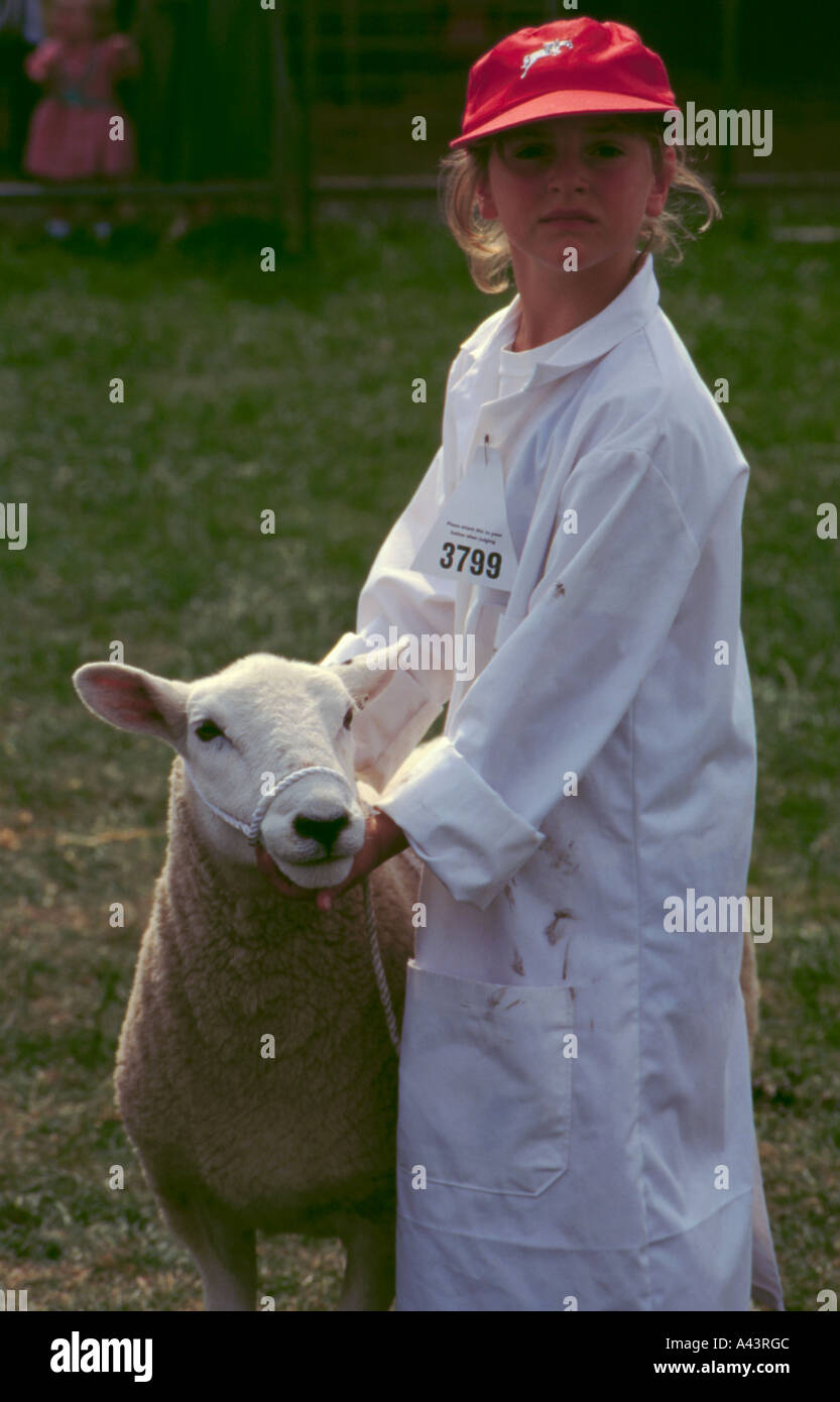 Lleyn Ewe High Resolution Stock Photography and Images - Alamy