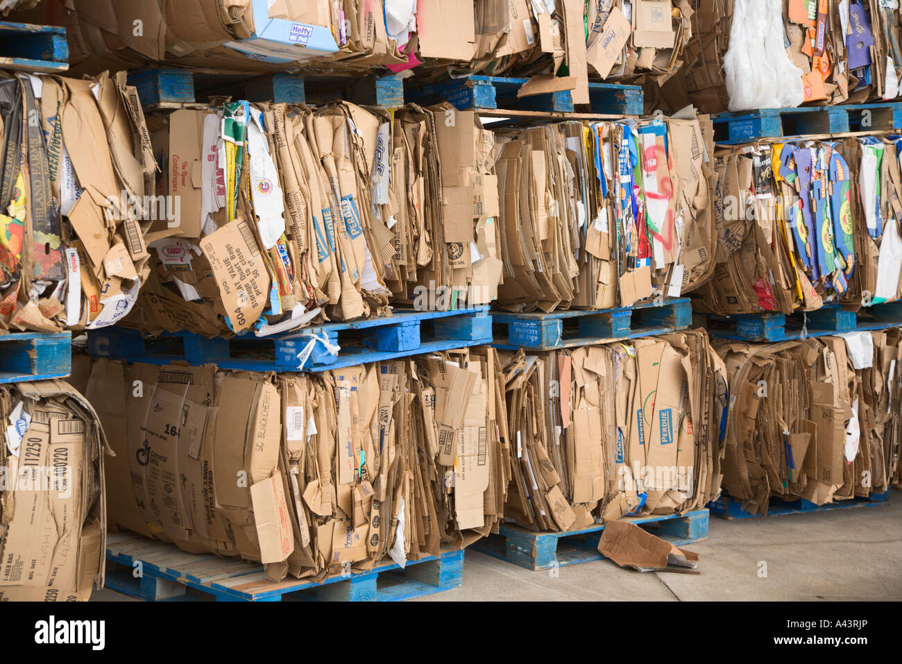 Crushed cardboard boxes bundled on pallets ready to be shipped for ...