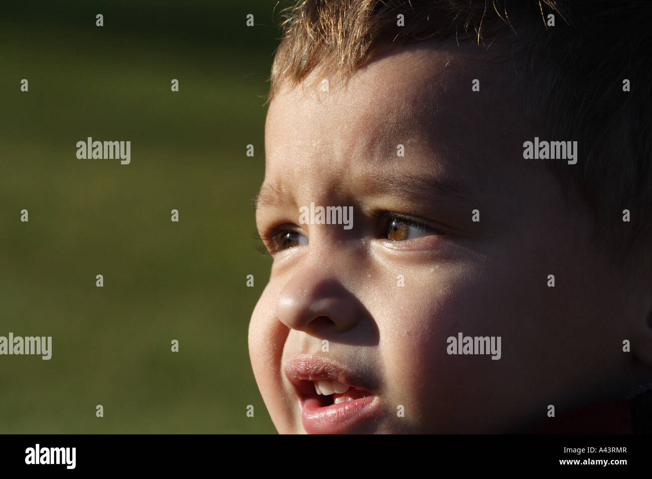 Child is looking at something Stock Photo - Alamy