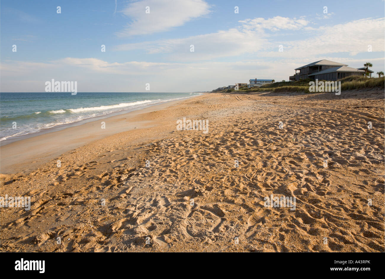 Atlantic coast shells hi-res stock photography and images - Alamy