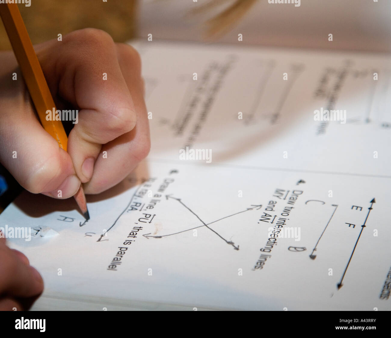 Young girl doing her schoolwork Stock Photo - Alamy