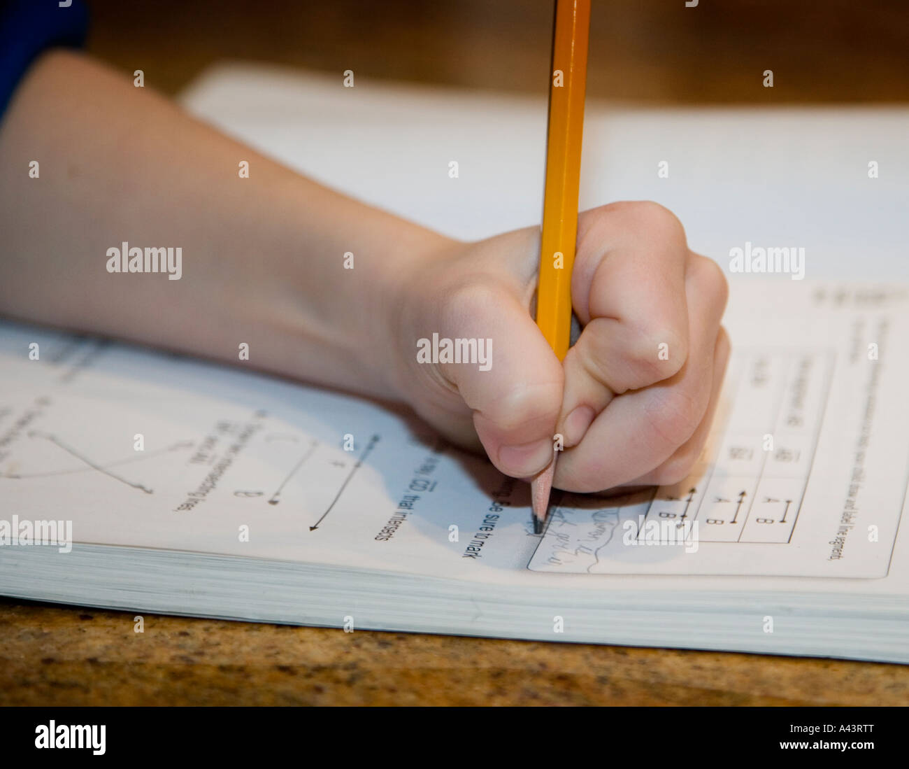 Young girl doing her schoolwork Stock Photo - Alamy