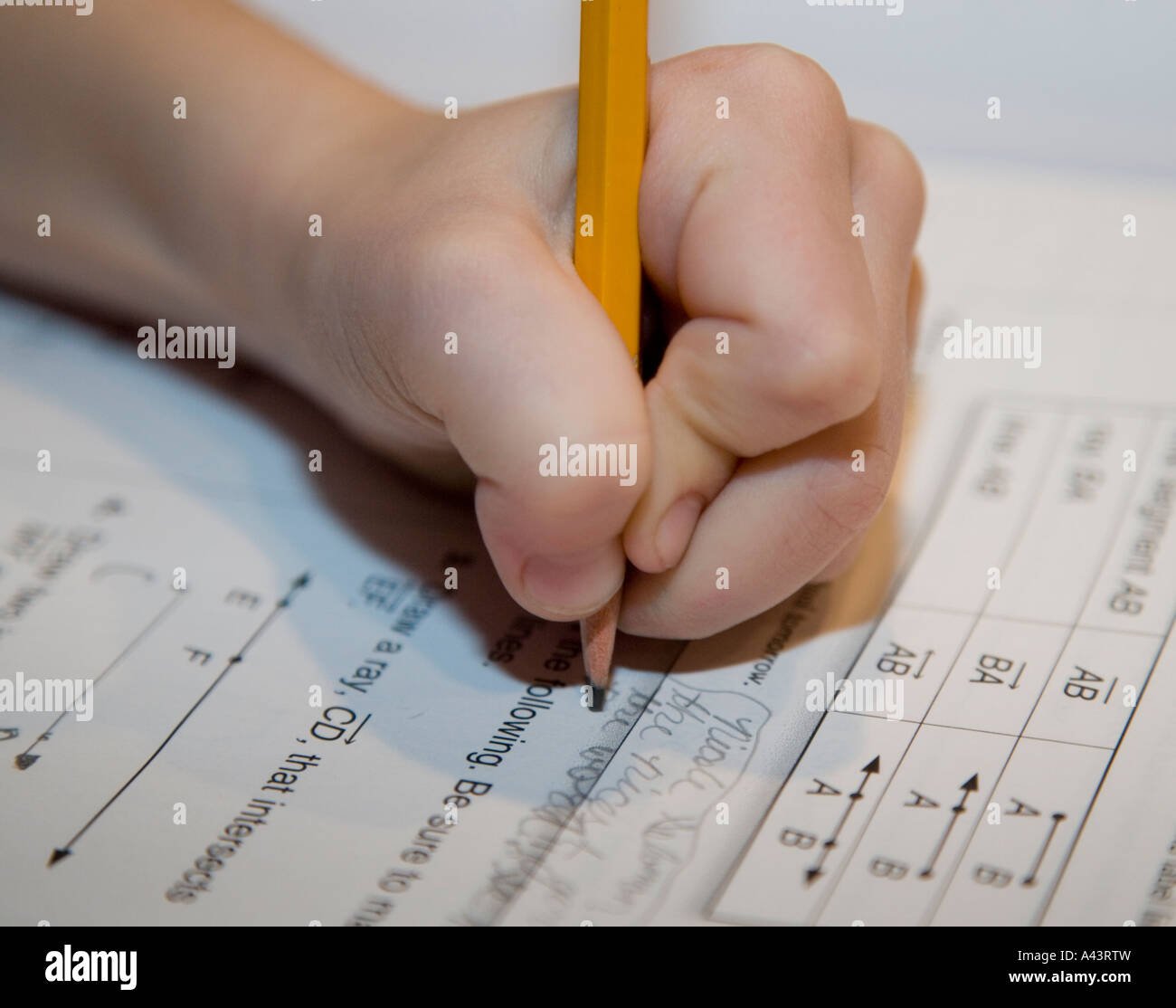 Young girl doing her schoolwork Stock Photo - Alamy