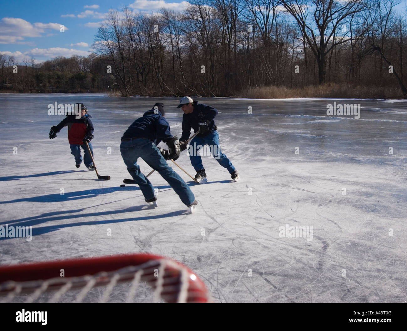 Frozen pond hi-res stock photography and images - Alamy