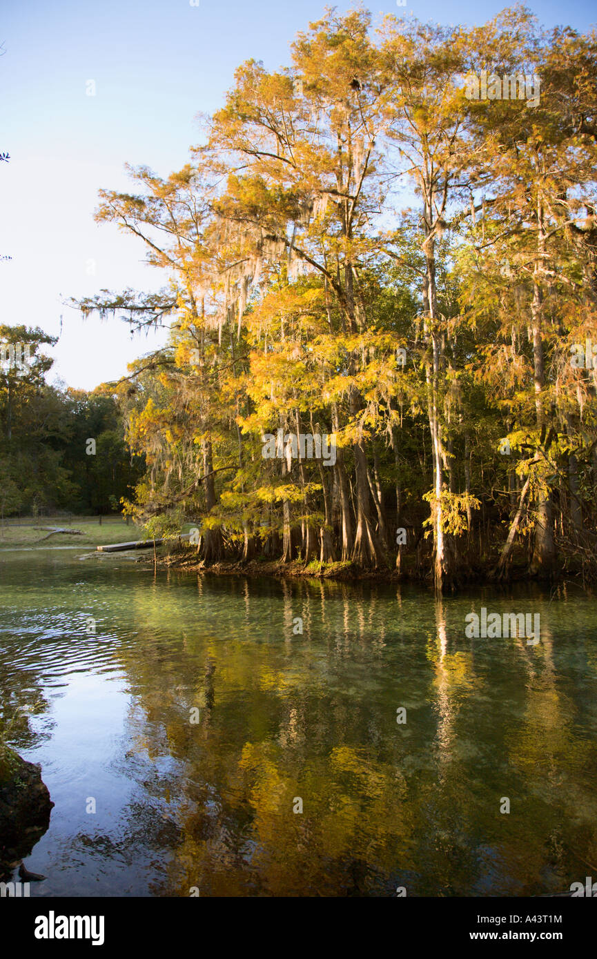 Manatee lagoon florida hi-res stock photography and images - Alamy