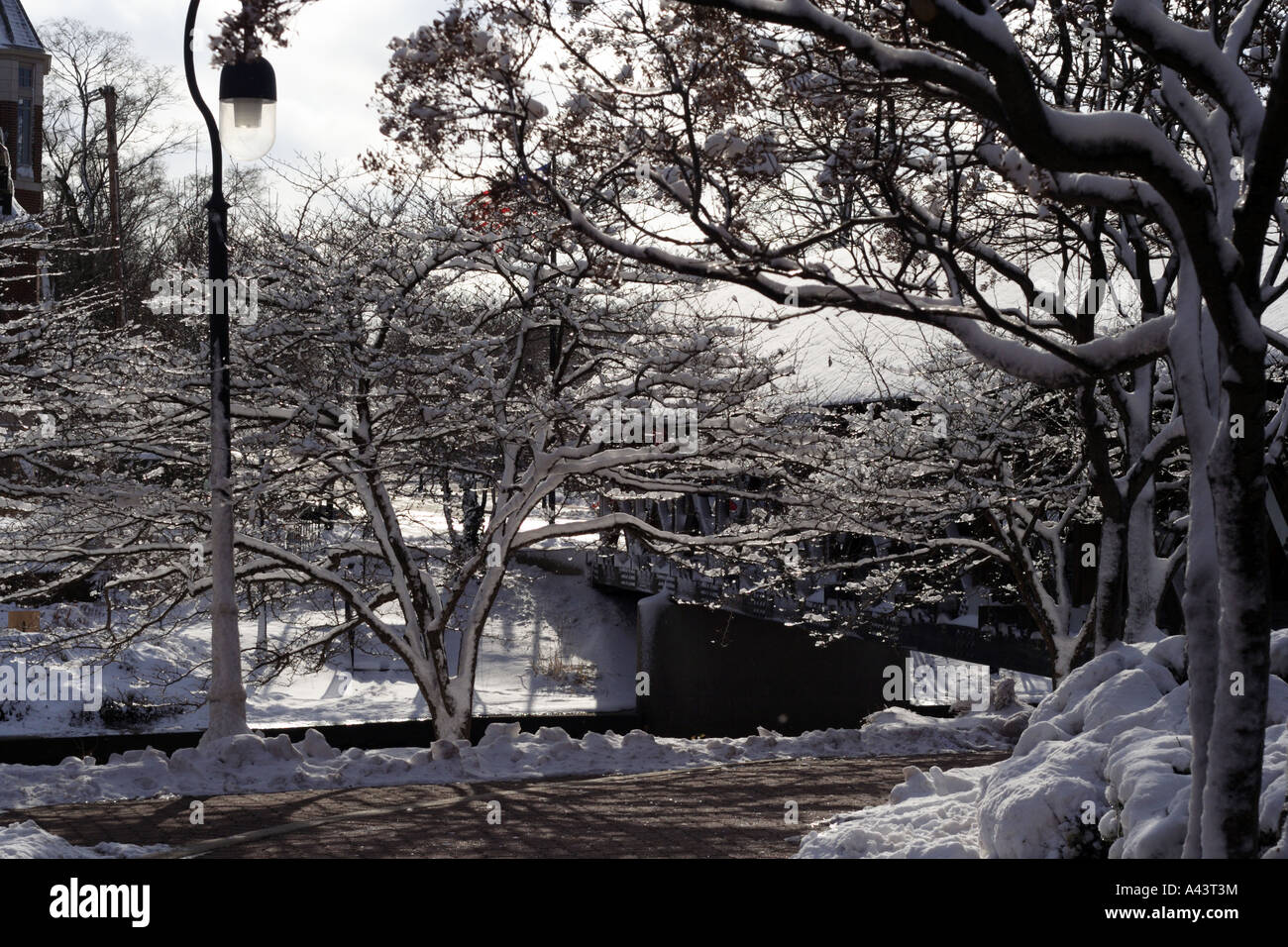 Winter in Naperville Stock Photo - Alamy