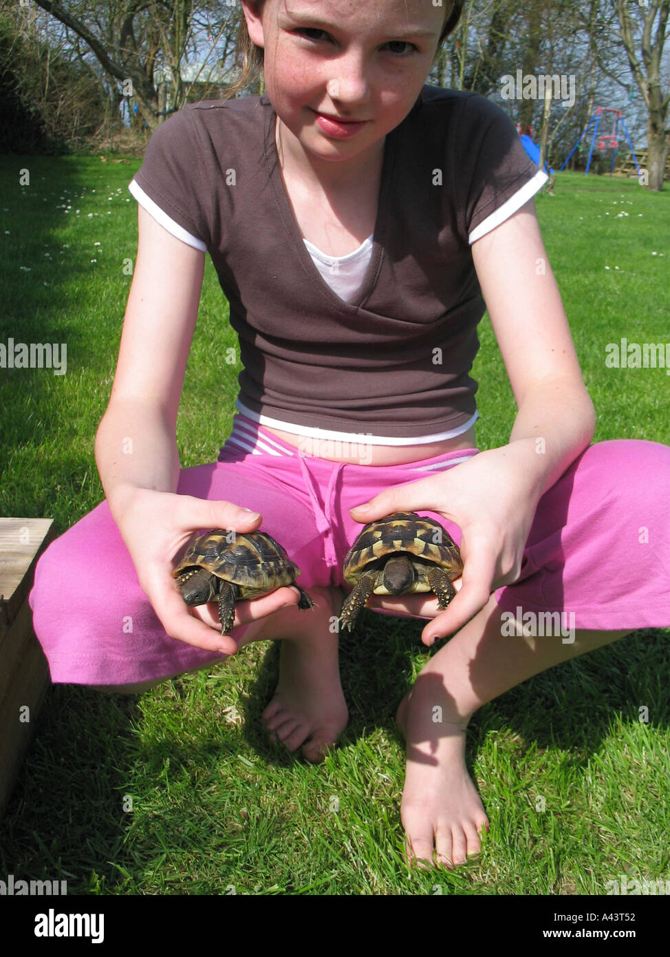 Girl with Tortoises Stock Photo - Alamy