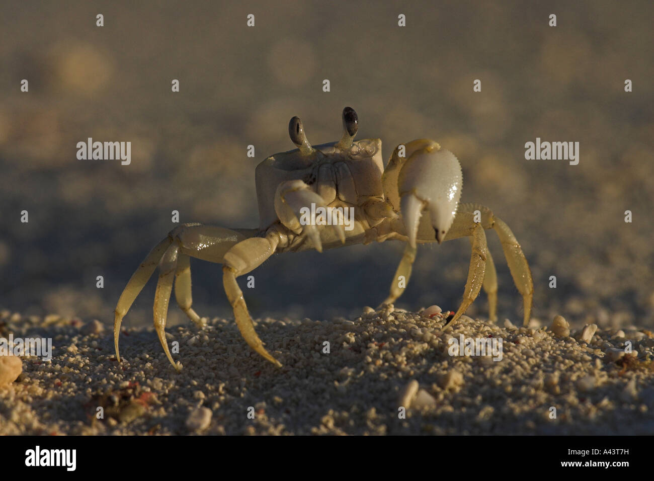 Smooth handed hi-res stock photography and images - Alamy