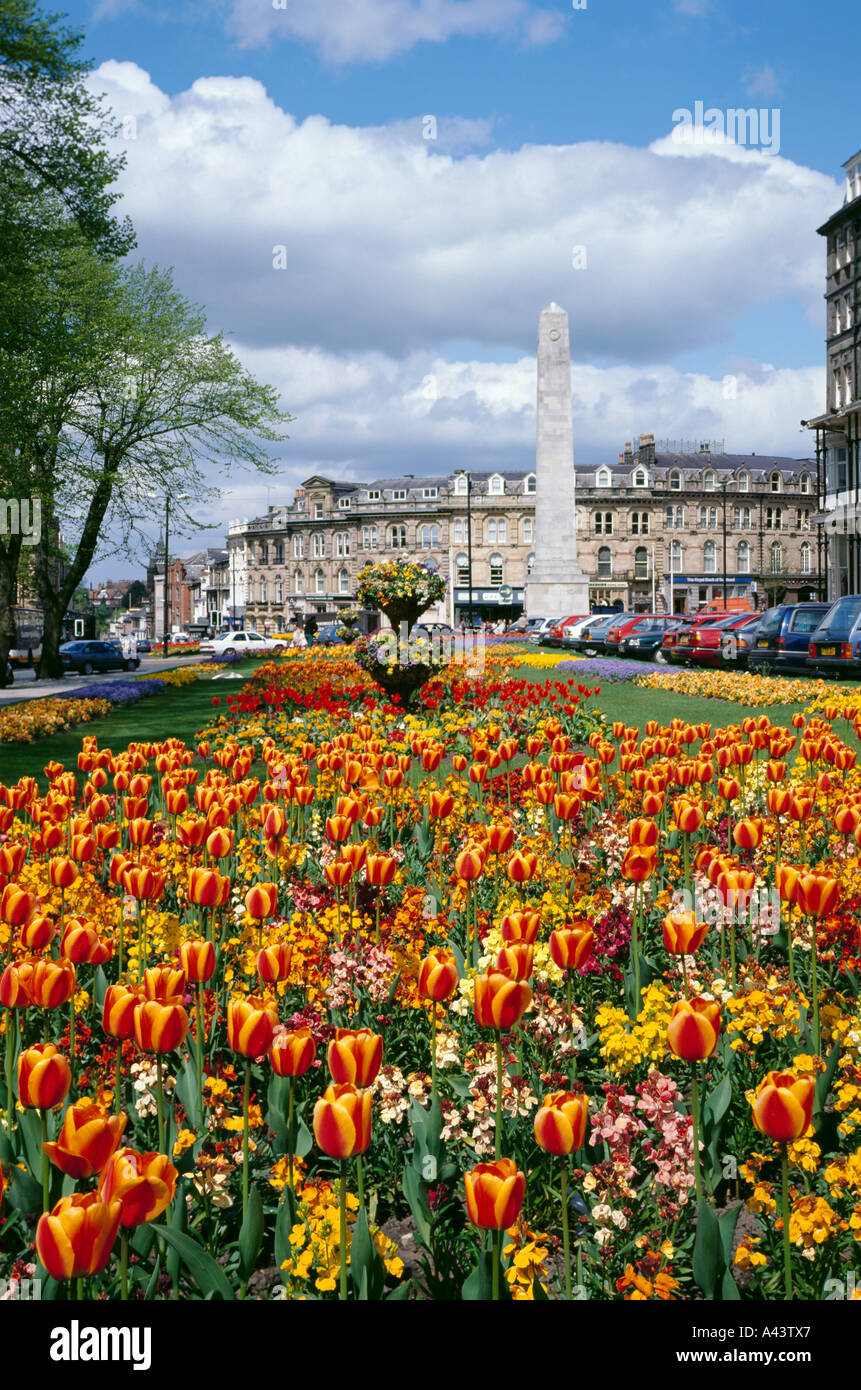 Tulips and wallflowers in bloom, Prospect Gardens, Harrogate, North ...