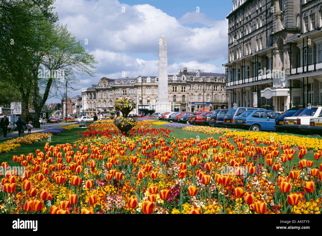 Tulips and wallflowers in bloom, Prospect Gardens, Harrogate, North ...