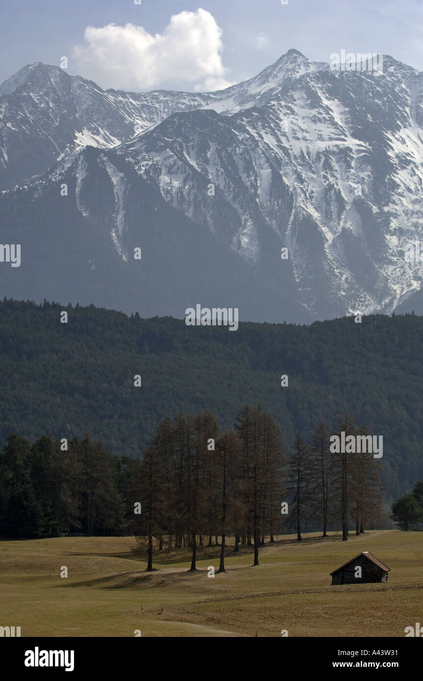 Tyrolean high forest hi-res stock photography and images - Alamy