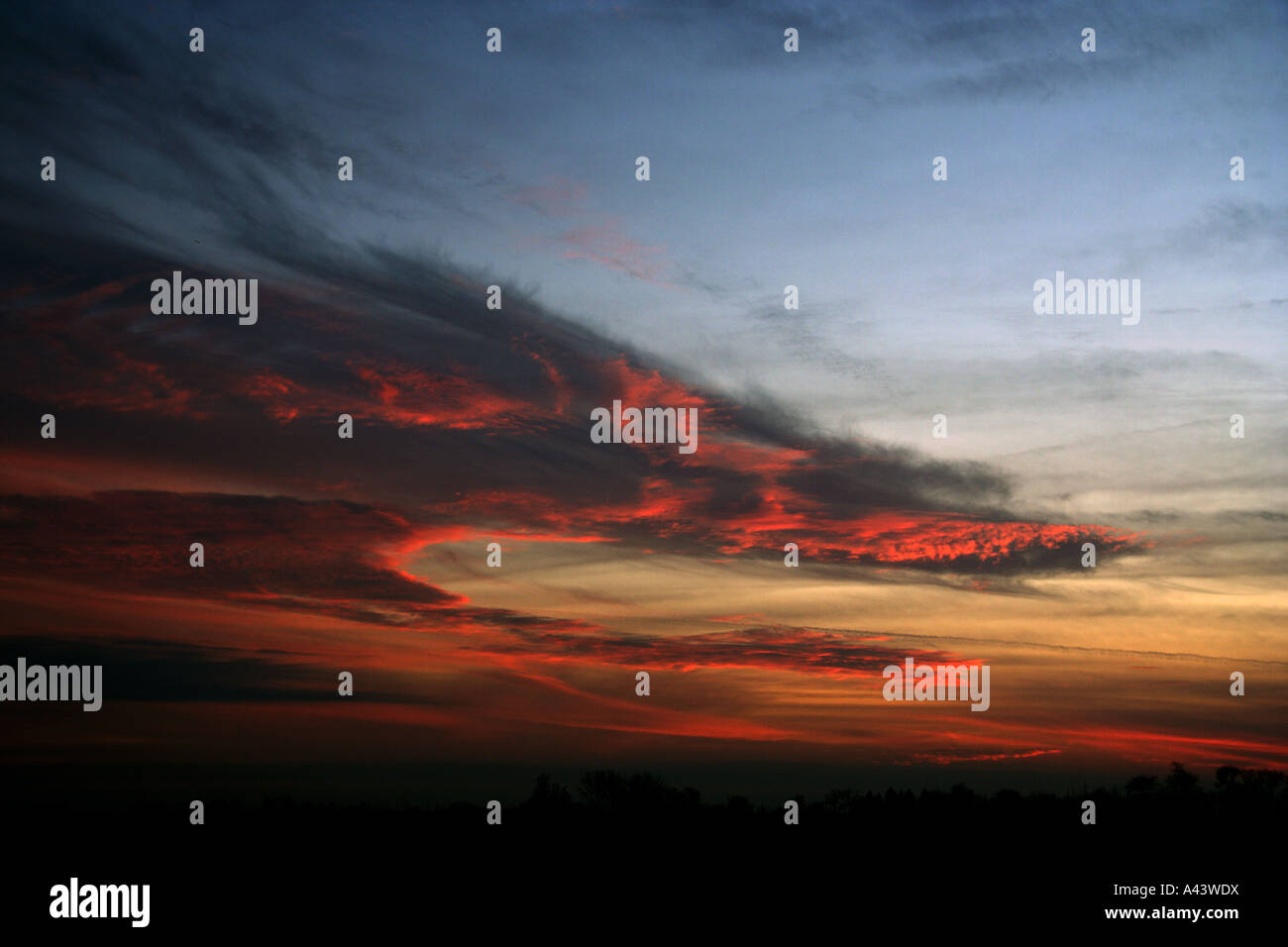 Fire predator in the sky Stock Photo - Alamy
