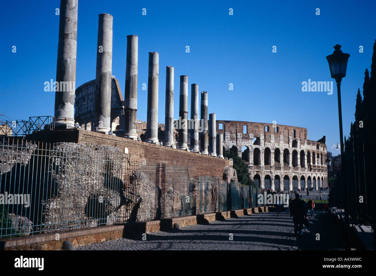 ancient rome columns and coloseum Stock Photo - Alamy