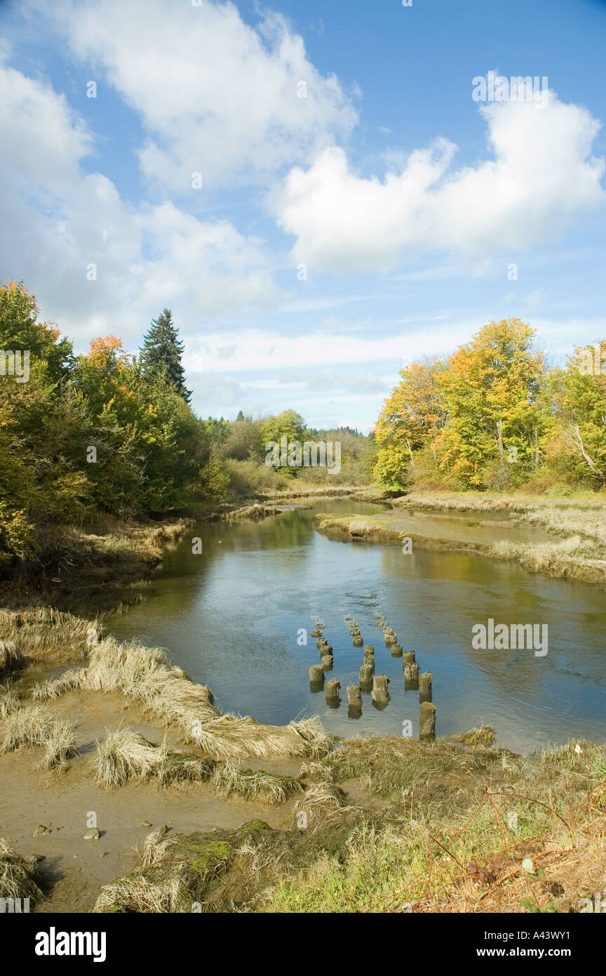Mud Flat and River in Western Washington State, USA Stock Photo - Alamy
