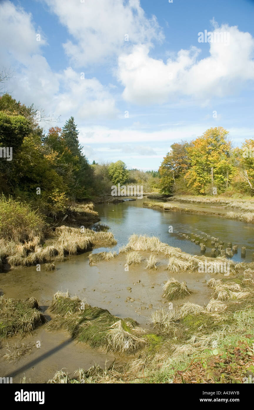 Mud Flat And River in Western Washington State, USA Stock Photo - Alamy
