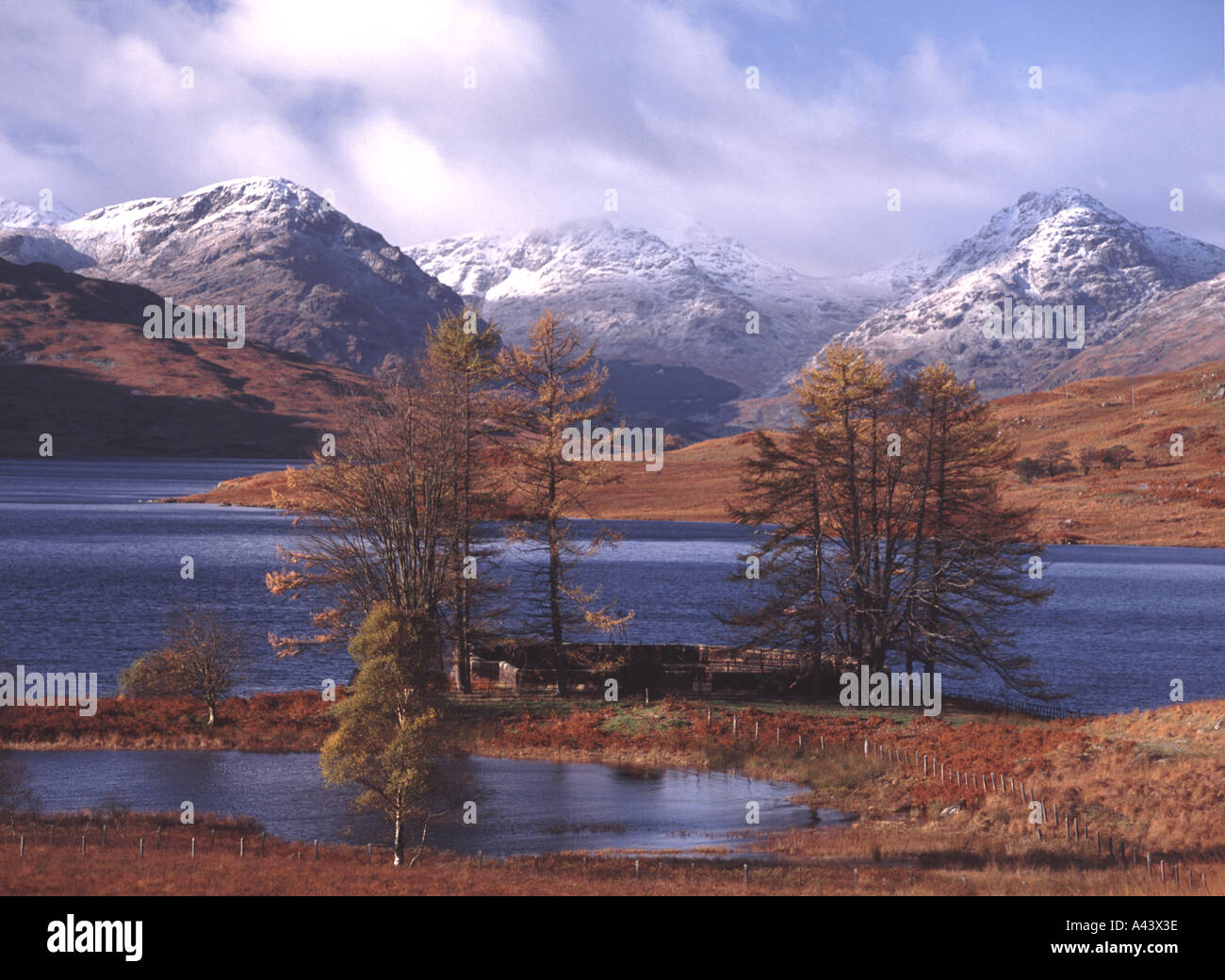 UK Scotland Stirlingshire The Trossachs Loch Arklet and mountains of ...