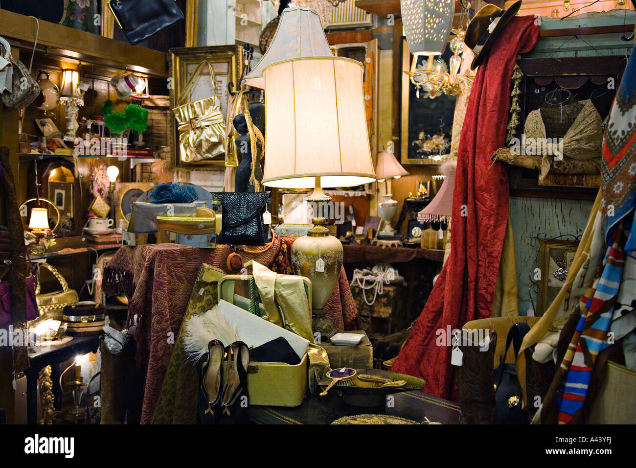 TEXAS Austin Antiques and household items displayed in Uncommon Objects ...