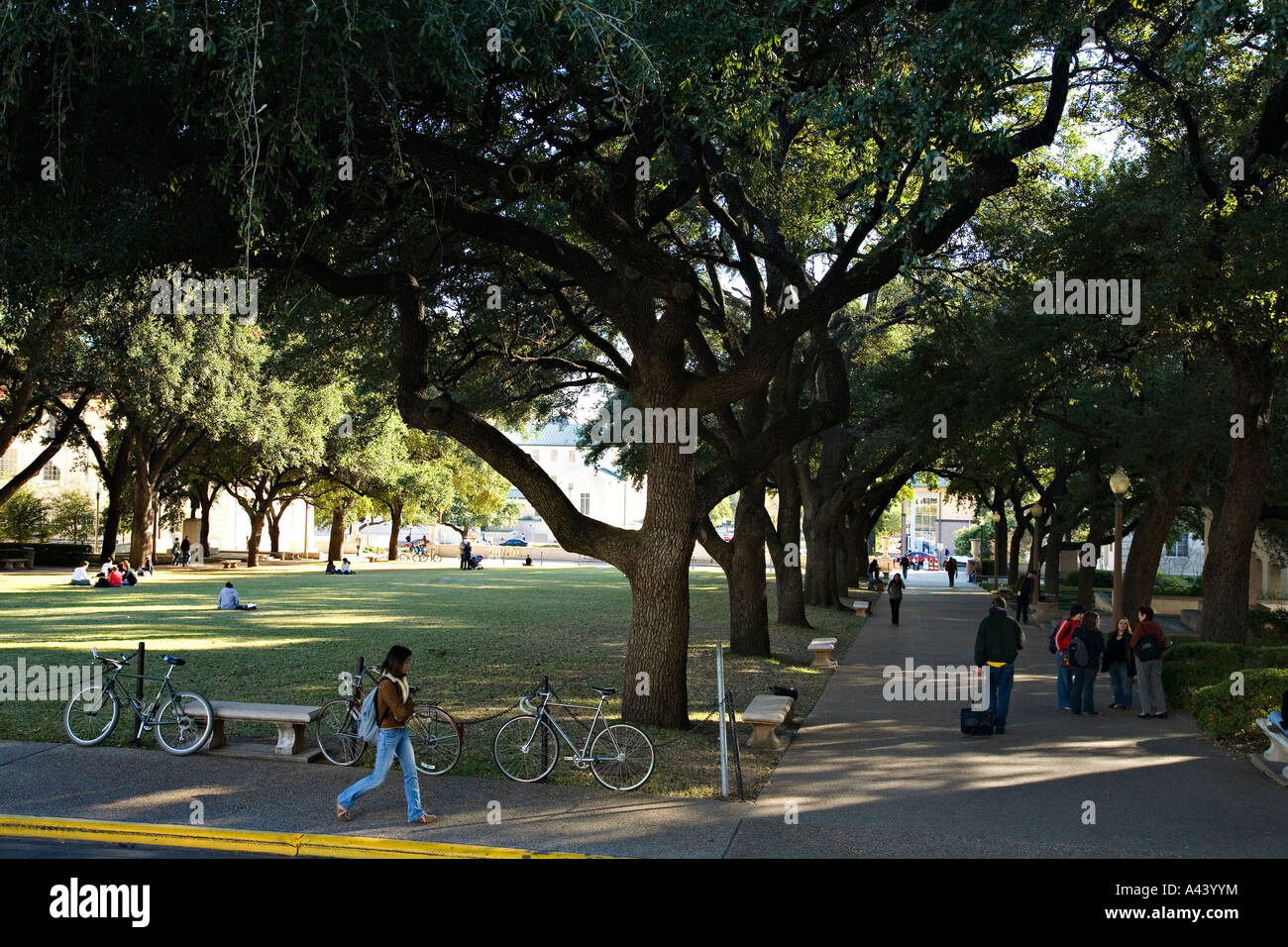 TEXAS Austin South Mall on the University of Texas campus park area ...