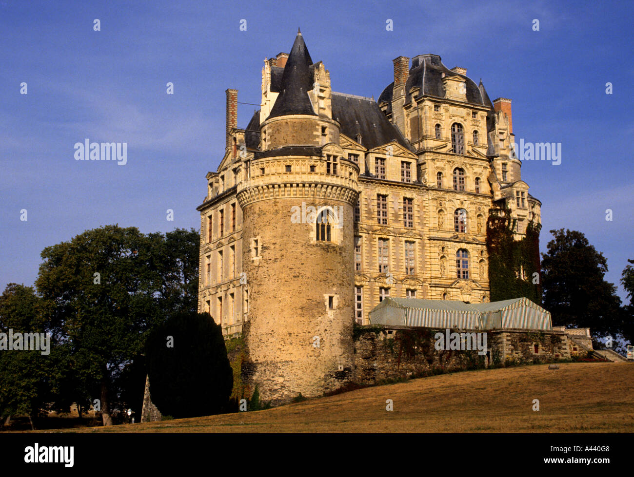 Chateau river Loire Franc French tower castle Stock Photo - Alamy