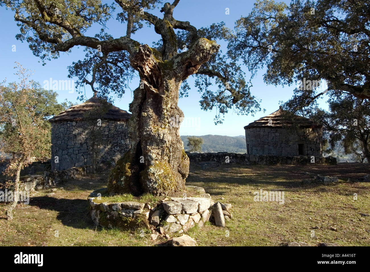 For the title please refer to the description field Stock Photo - Alamy