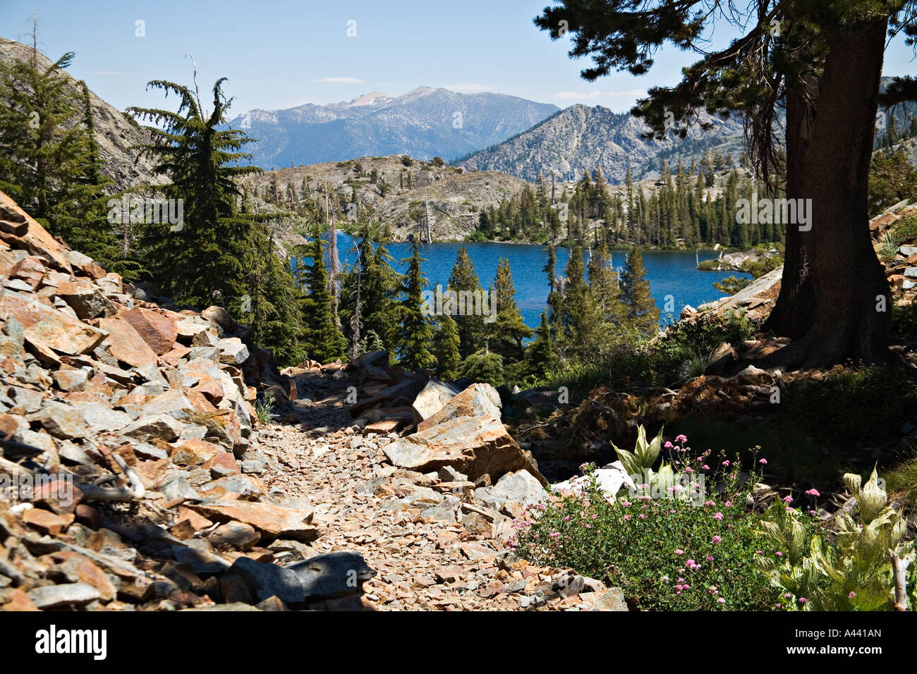 CALIFORNIA Lake Tahoe Heather Lake viewed Glen Alpine trail wildflowers ...