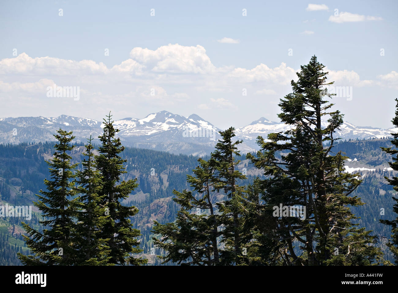 CALIFORNIA Lake Tahoe Desolation Mountains in National Forest view ...