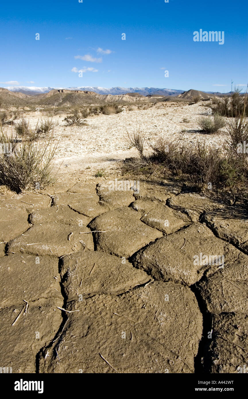 Dried out riverbed in the so called badlands of the southern Spanish ...
