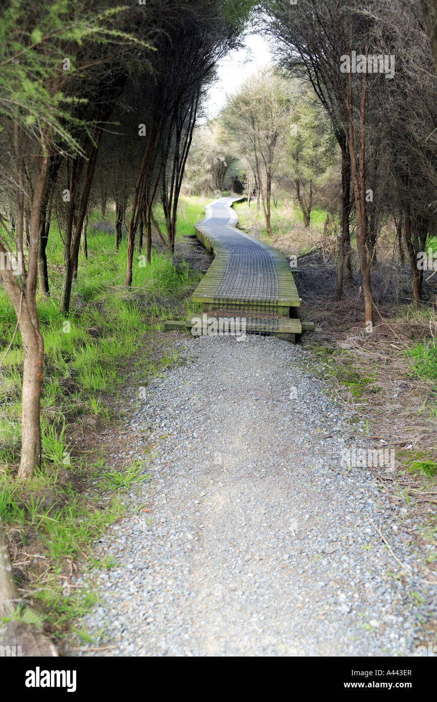 Path and boardwalk Stock Photo - Alamy