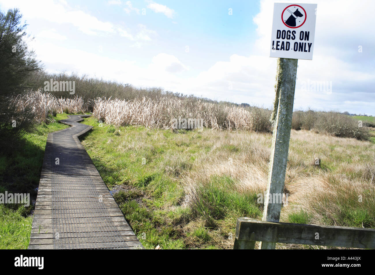 Boardwalk and signpost Stock Photo - Alamy