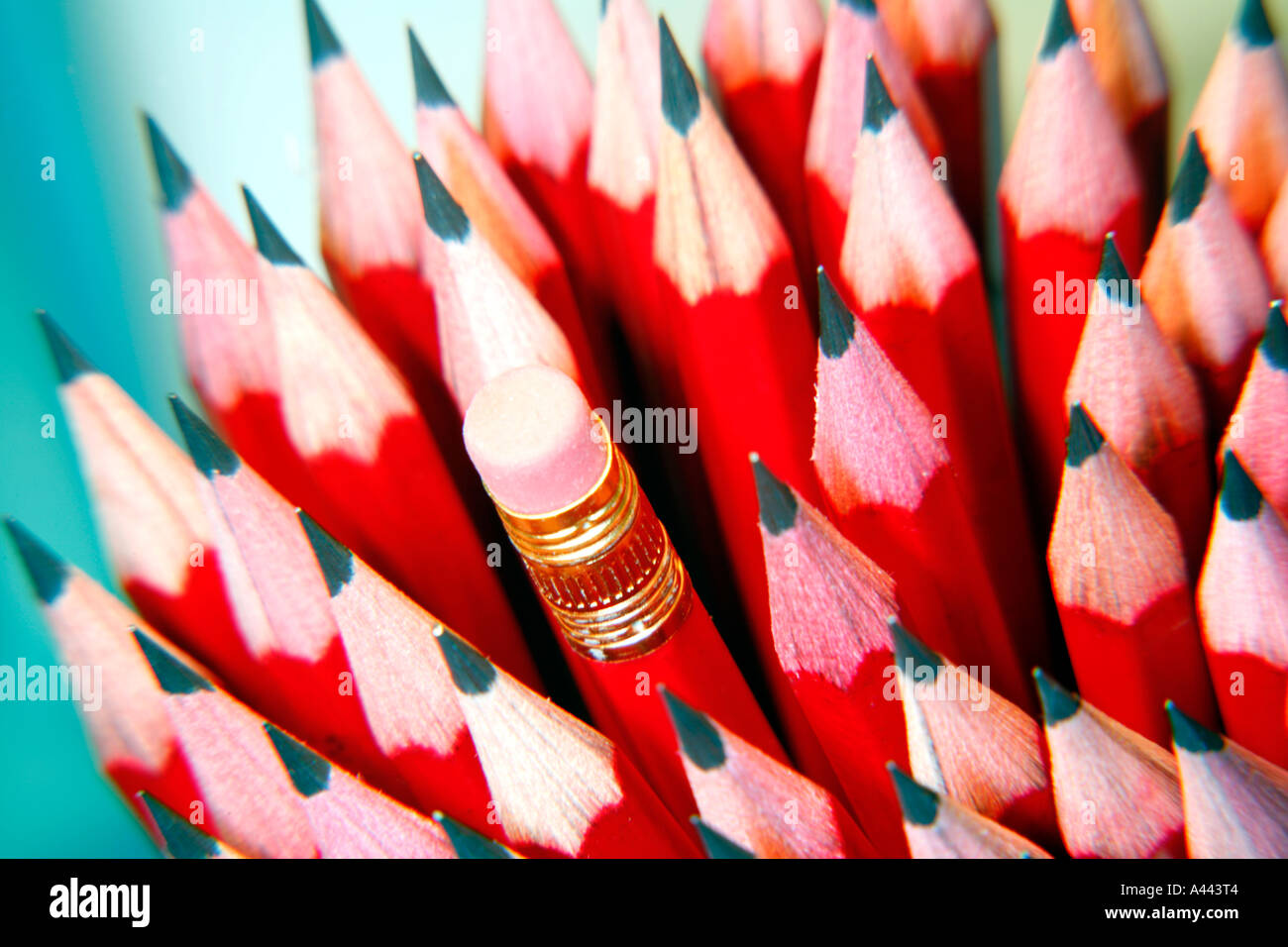 Misfit Sharp Pencil Odd Oddity Hi res Stock Photography And Images Alamy misfit-sharp-pencil-odd-oddity-hi-res-stock-photography-and-images-alamy