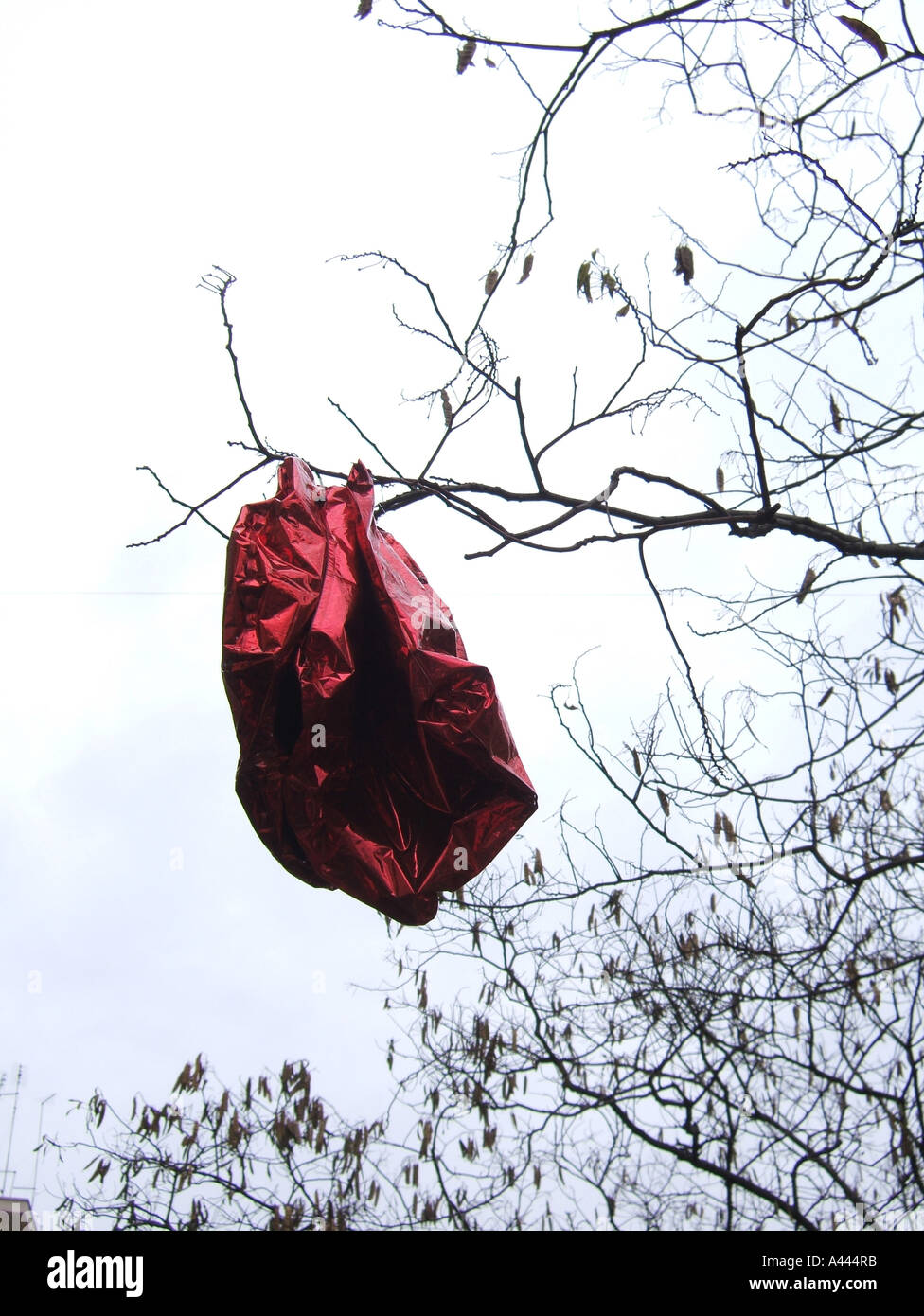 red balloon stuck in tree Stock Photo - Alamy