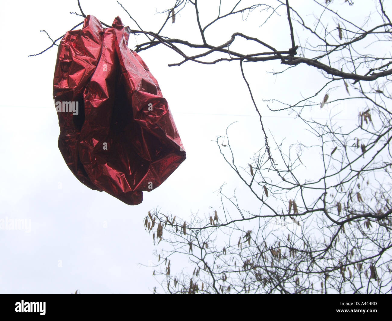 red balloon stuck in tree Stock Photo - Alamy