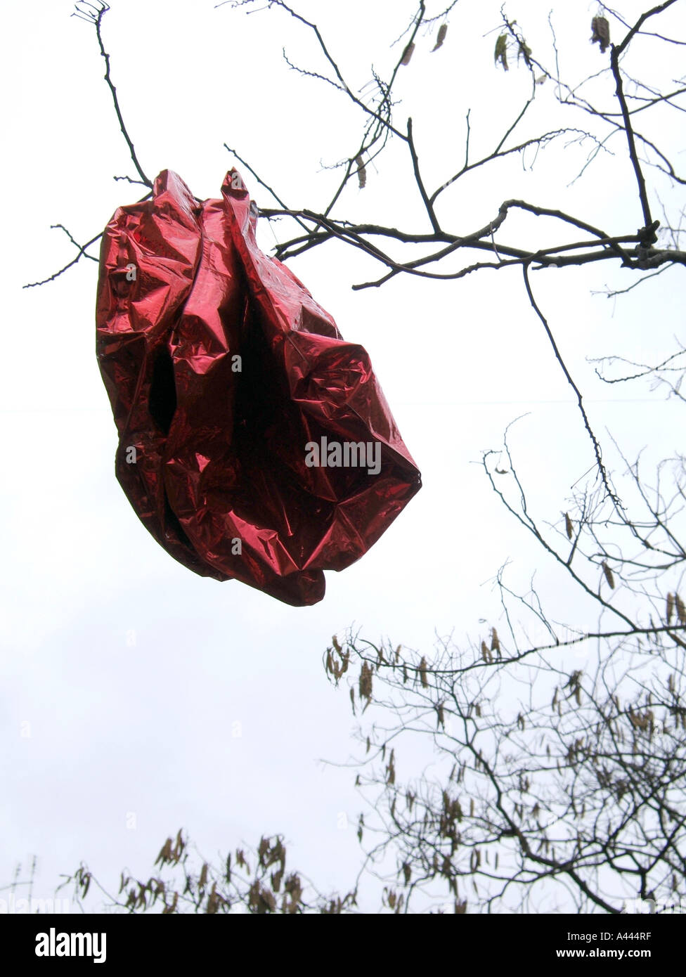 red balloon stuck in tree Stock Photo - Alamy