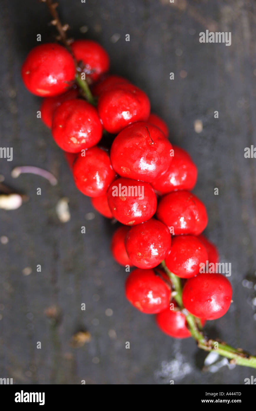 Rich in birdlife hi-res stock photography and images - Alamy