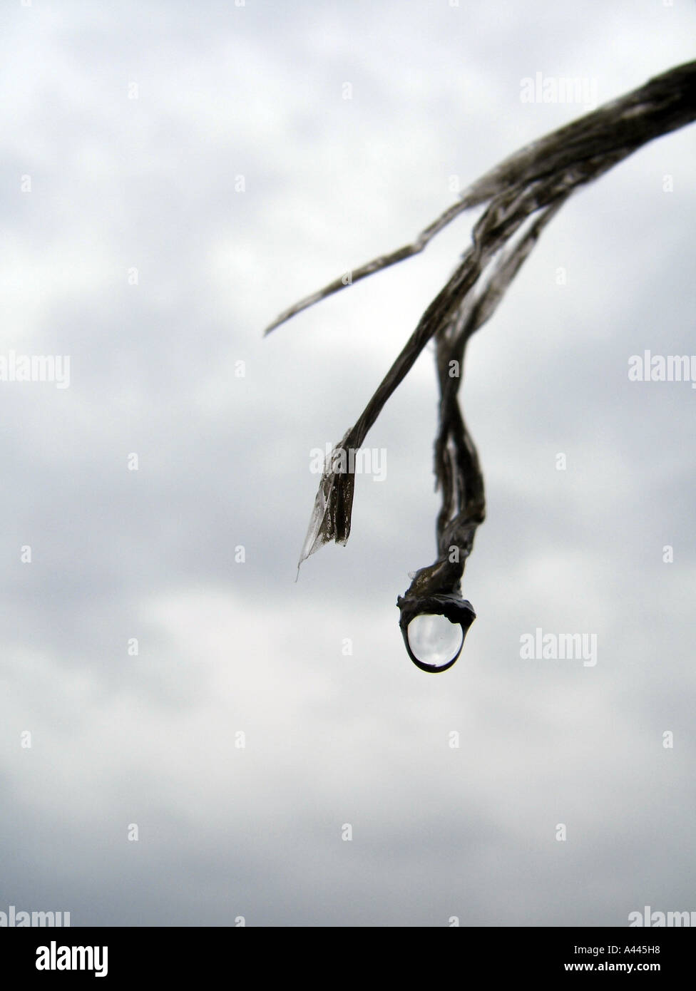 droplet on piece of string Stock Photo - Alamy