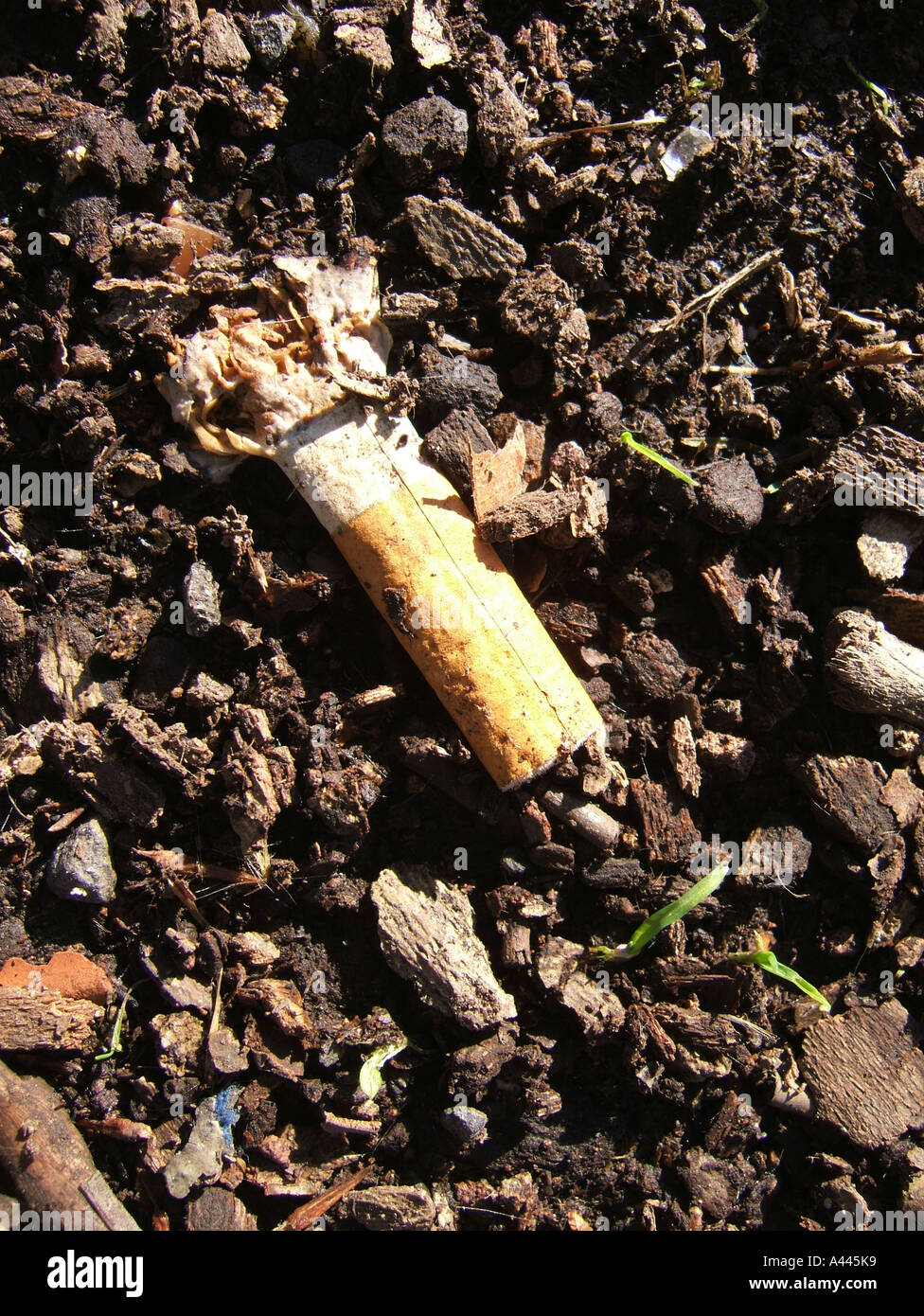 Wet cigarettes hi-res stock photography and images - Alamy