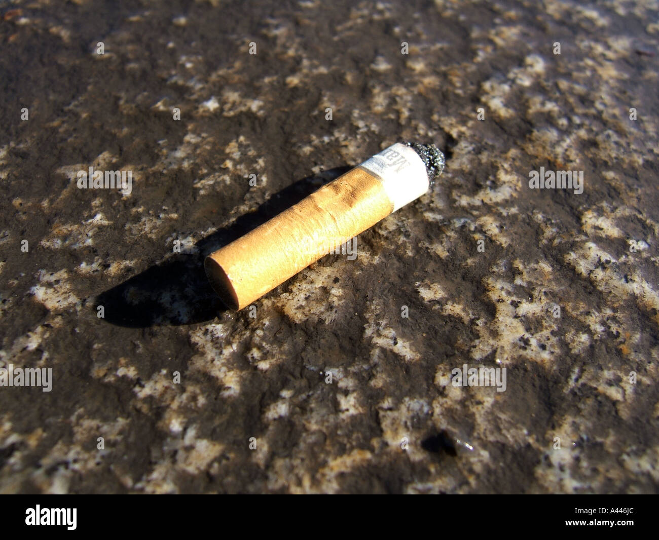 Cigarette stubs on road hi-res stock photography and images - Alamy