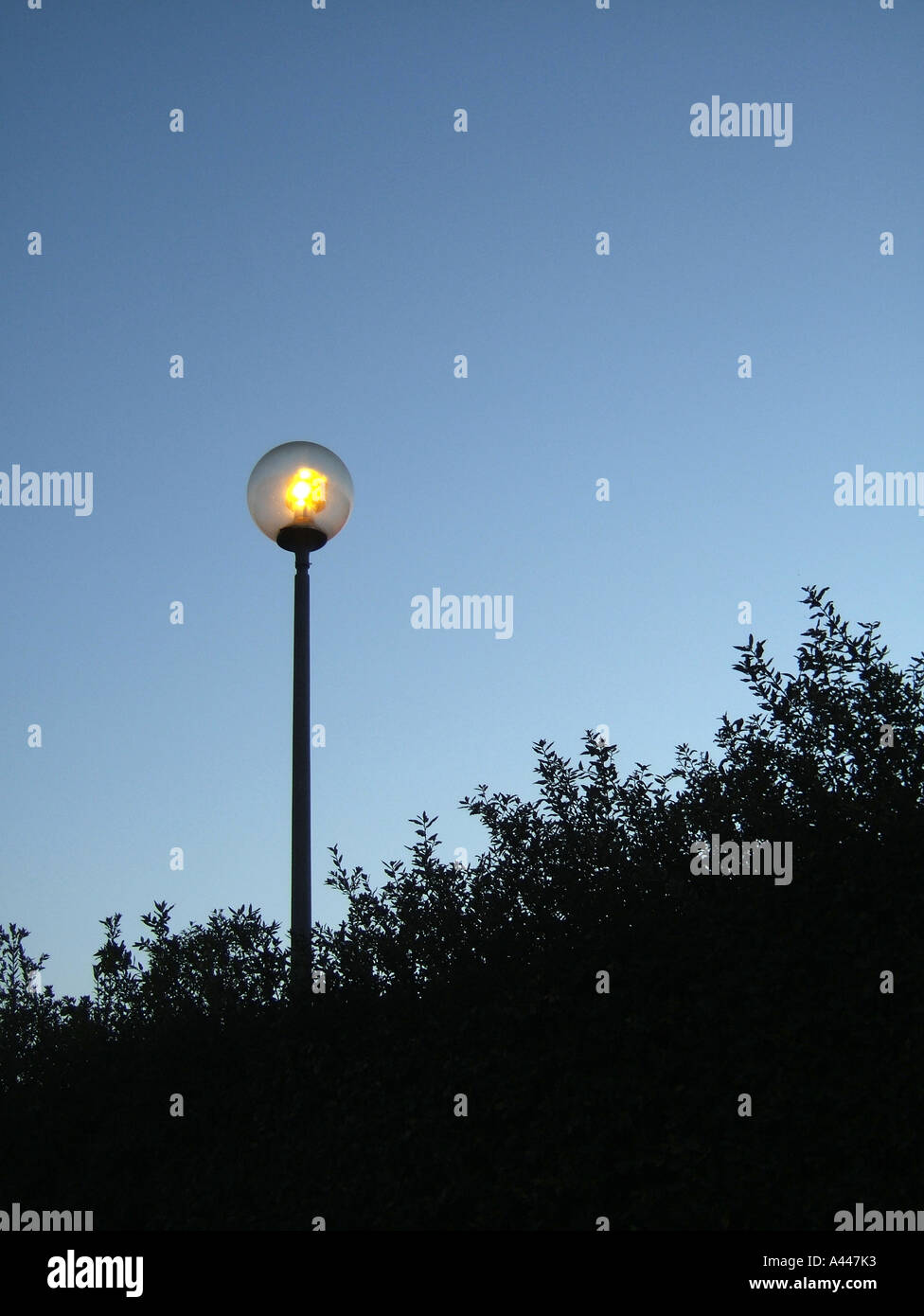 lamp post and trees Stock Photo - Alamy