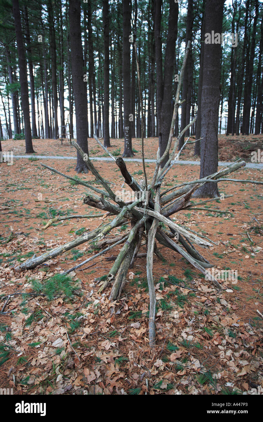 Piled sticks form outdoor art in woods Stock Photo - Alamy