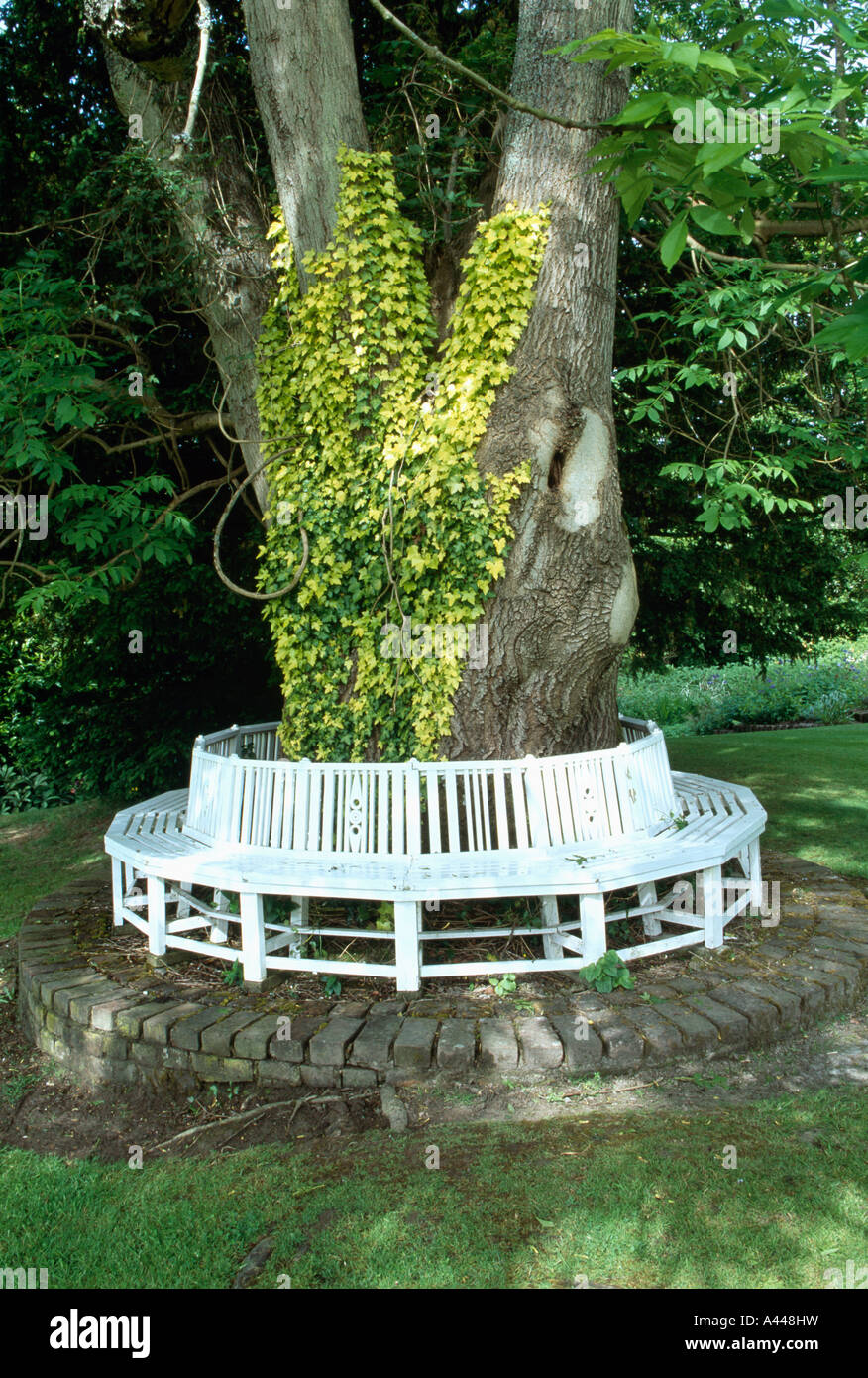 Circular white garden seat around large tree Stock Photo - Alamy